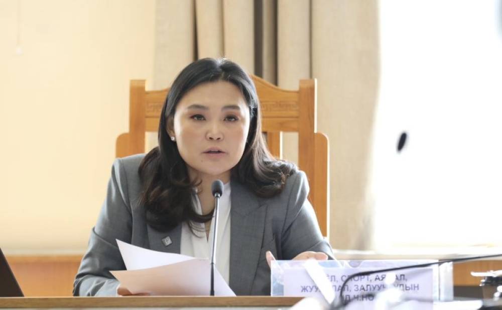 Ч.Номин: “Соёлын ваучер”-ын 18,3 тэрбум төгрөгийг төсвөөс хасаж хэлэлцүүлэгт оруулсан - logic.mn