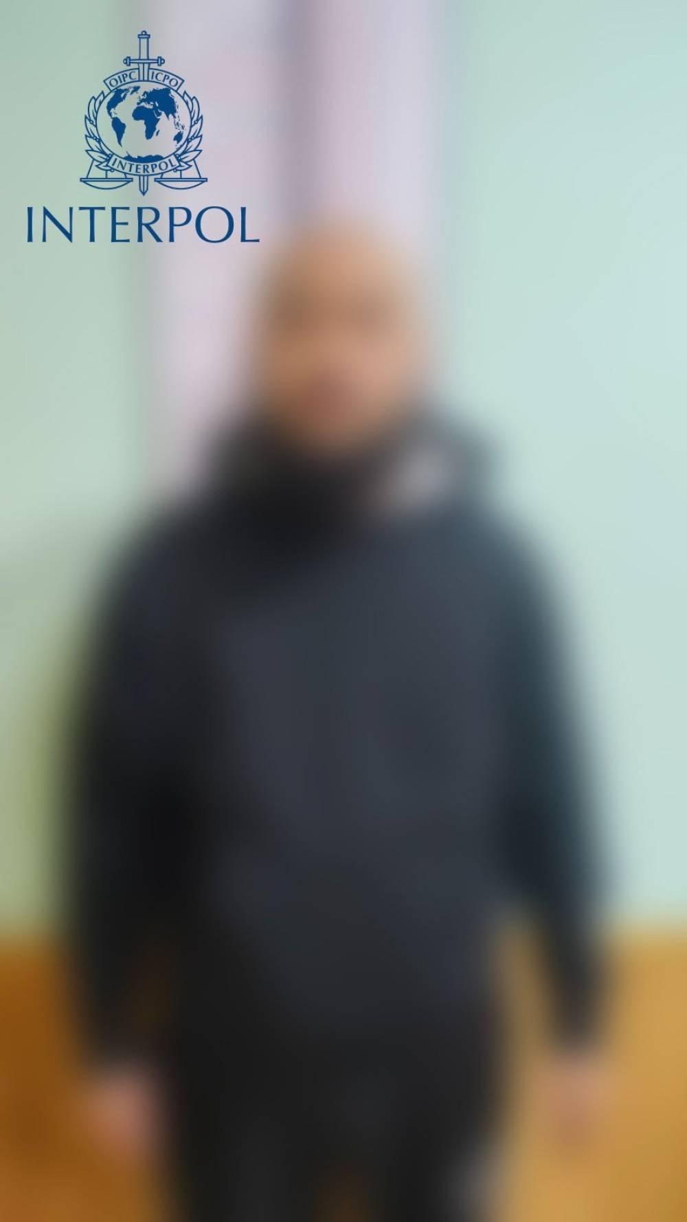 Интерполын шугамаар Шувуу ажиллагааны хүрээнд эрэн сурвалжлагдаж