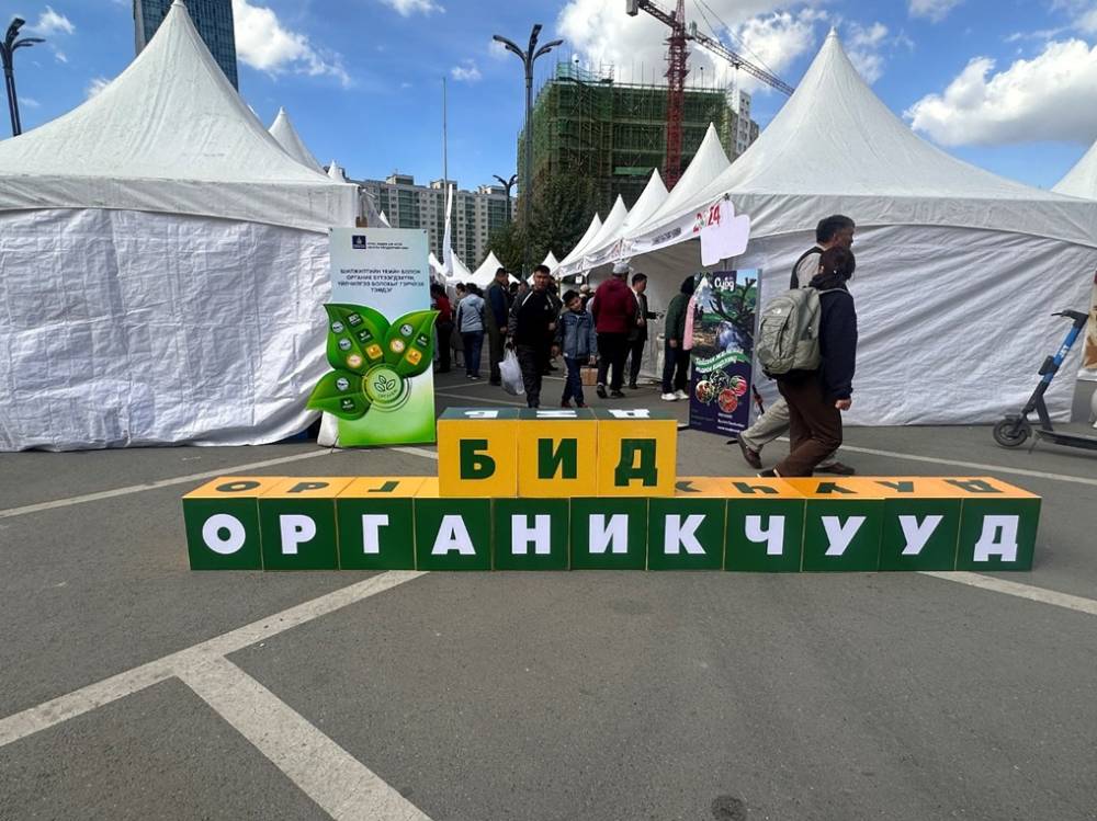 “Намрын ногоон өдрүүд-2024” үзэсгэлэн худалдаа зохион байгуулагдаж байна - logic.mn